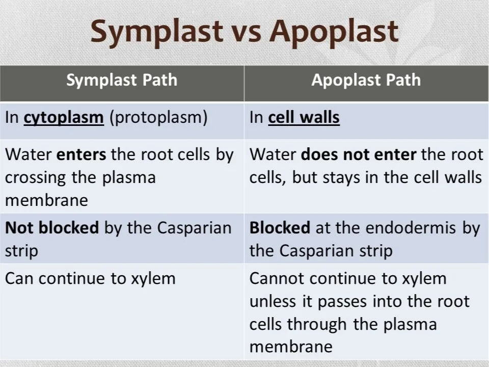 The Grower’s Guide to Plant Sap Analysis — Soil Doctor