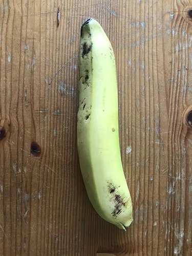 The Myth of the Straight Banana — Minhall & Jones