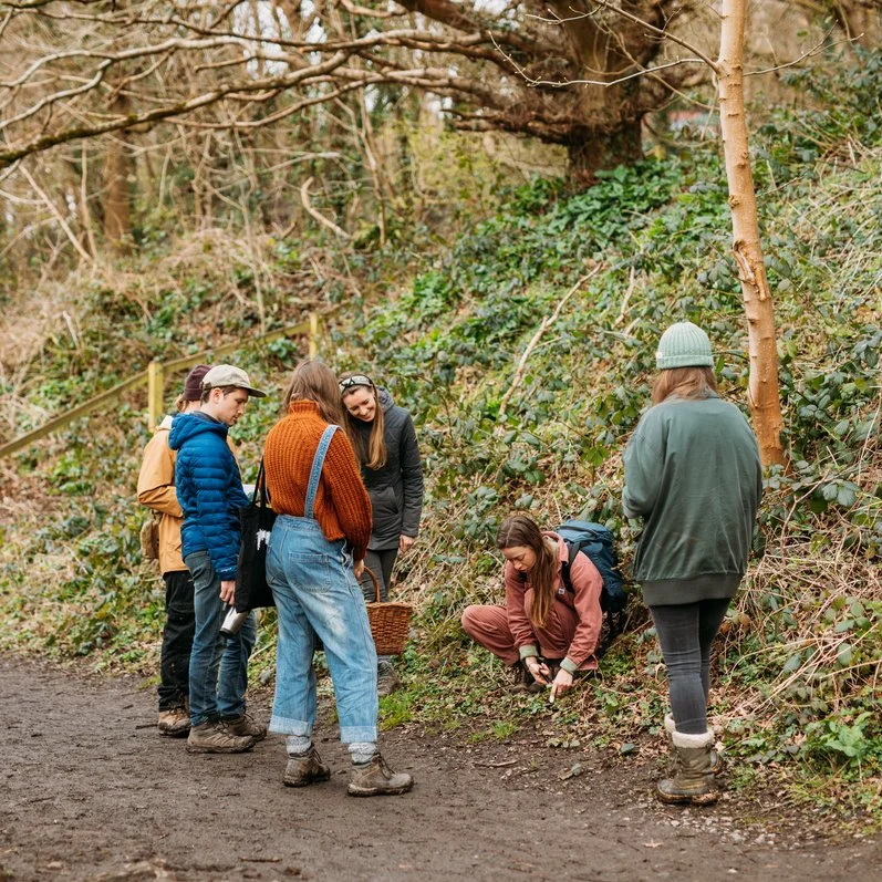 5* Bristol Foraging Courses with Maria - build your confidence ...