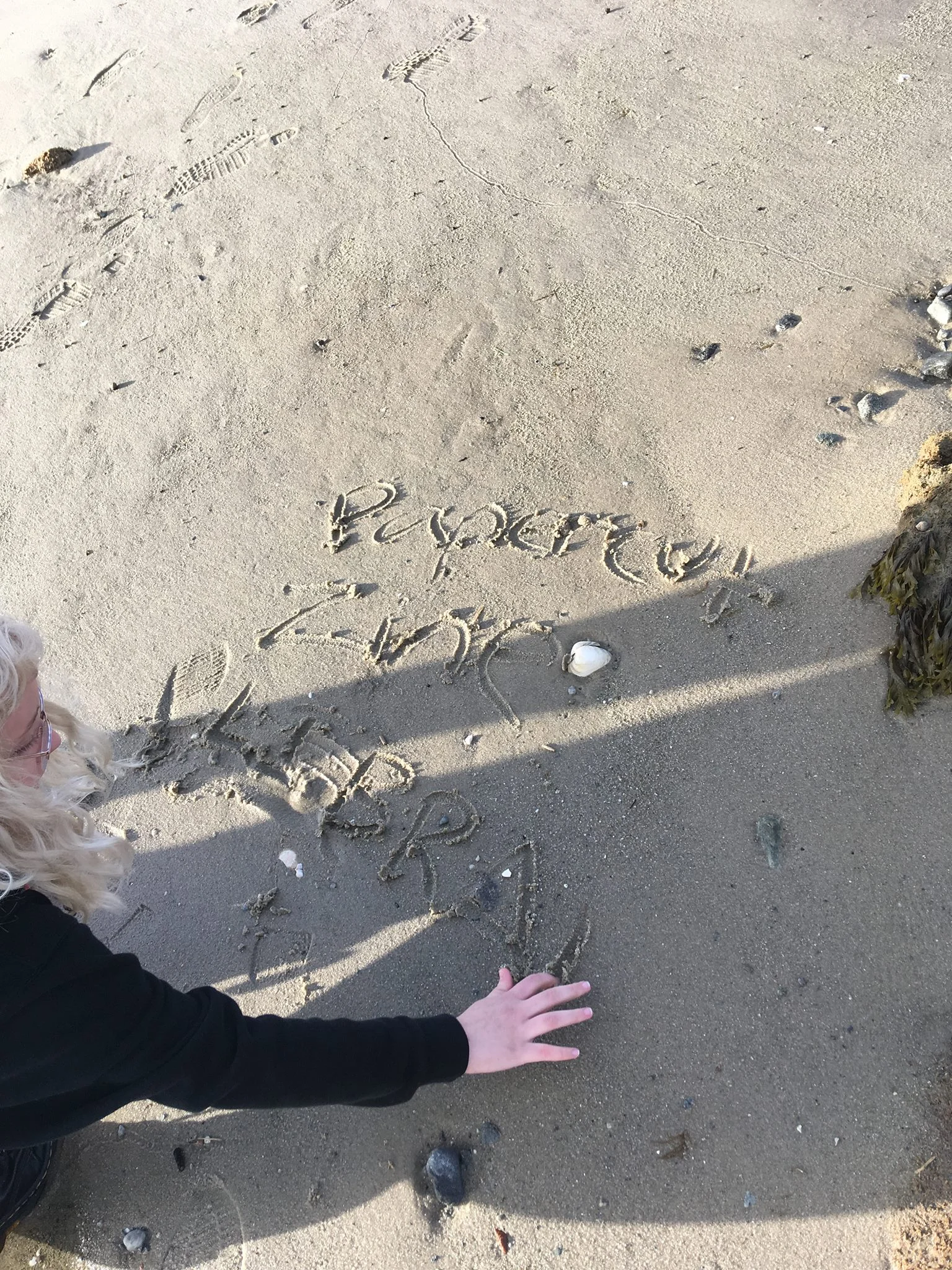 location — Papercut Zine Library