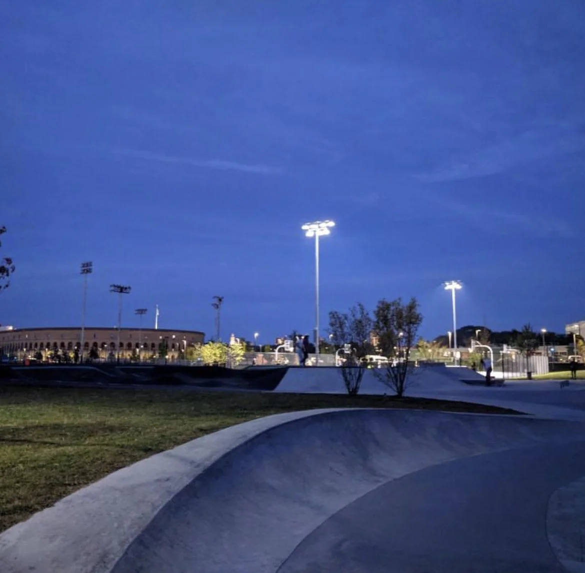 girls skate day — Papercut Zine Library