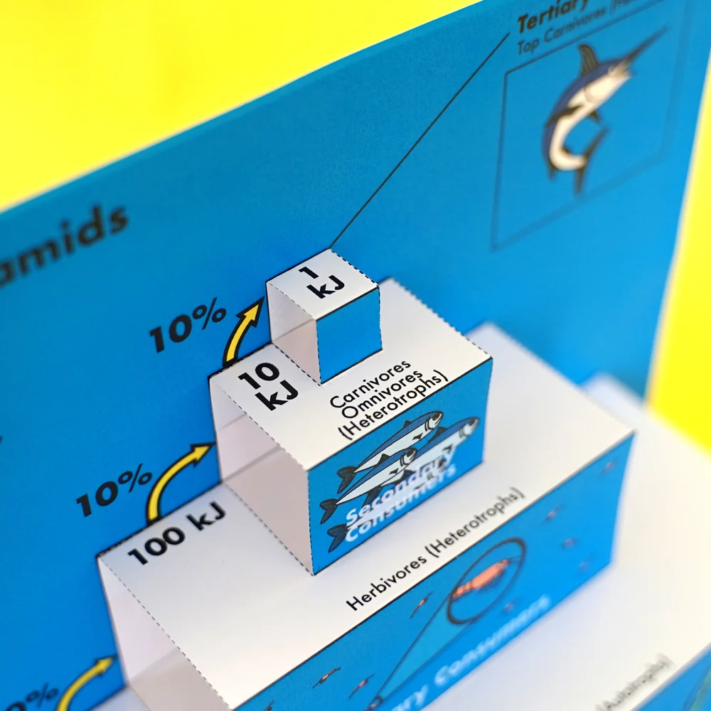 Blank Energy Pyramid 3d