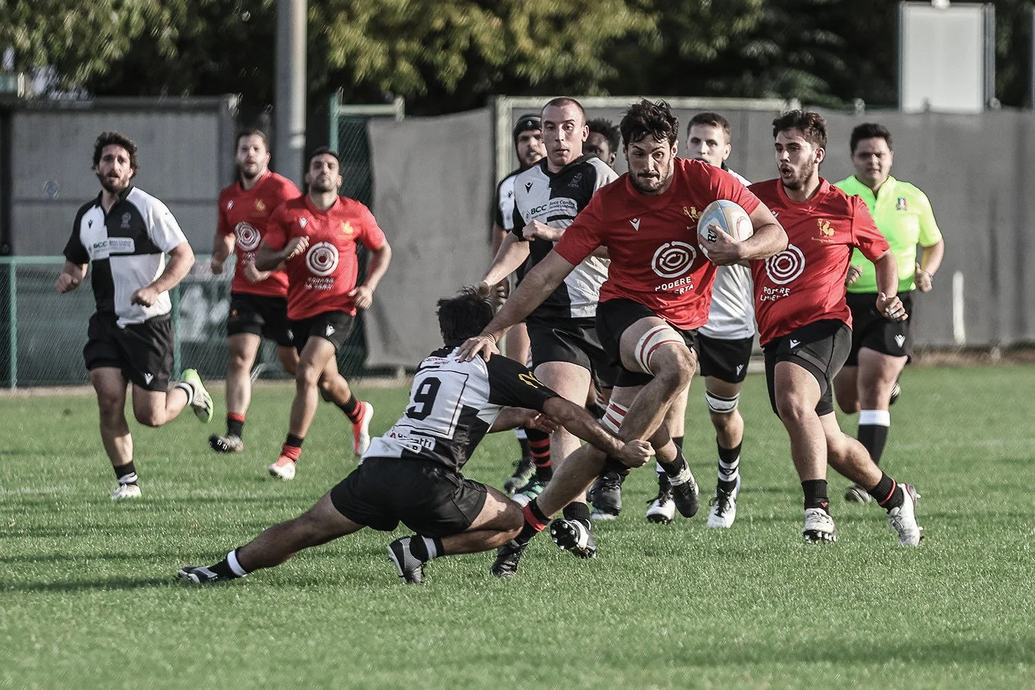 Best Rugby Photos of 2019 — Sports Photography