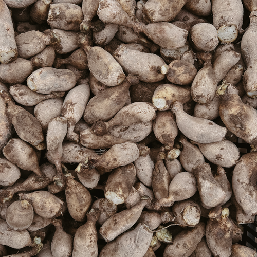 Russells Mills Flower Co