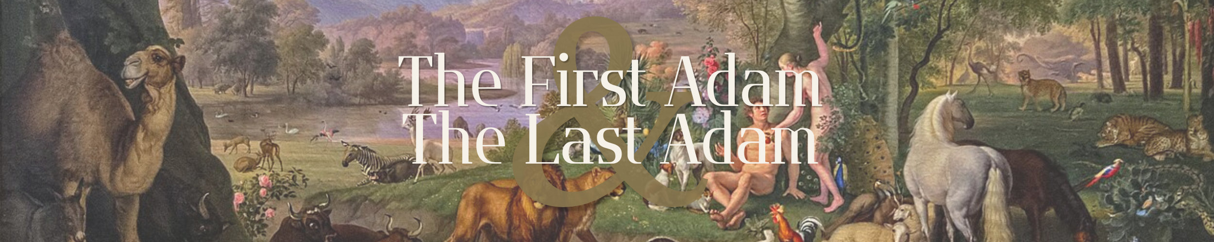 The First Adam and the Last Adam — Borculo Christian Reformed Church