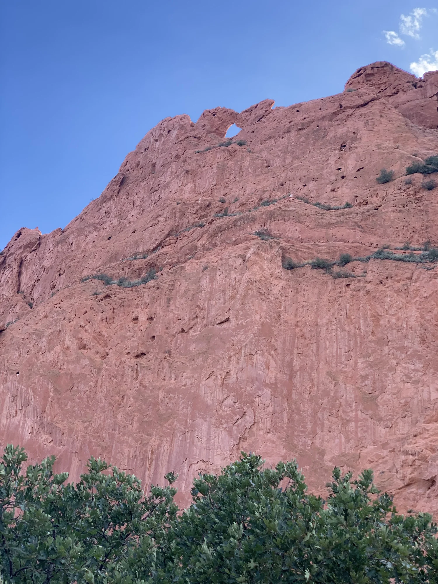 Our Colorado Experience