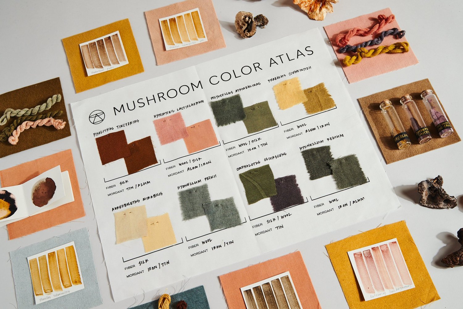 Mycology & Color: A Chromatic Universe of Mushroom Dyes, Pigments ...