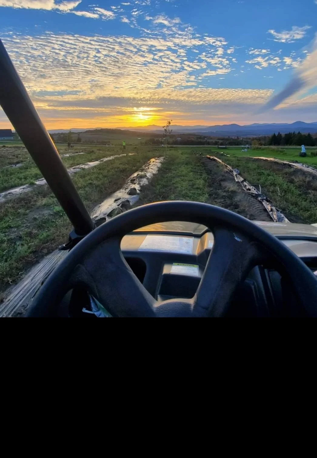 Experience It — Lavender Essentials of Vermont