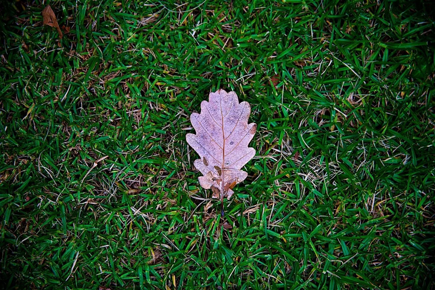 About Michelle Rodgers | 18 Years of Yoga Experience |Yoga Meditation ...