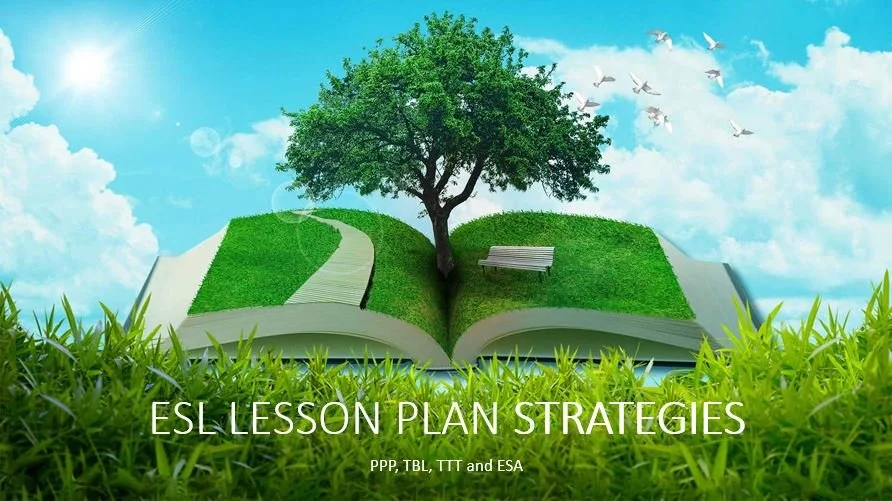 LESSON PLAN STRATEGIES — Mike's Home ESL