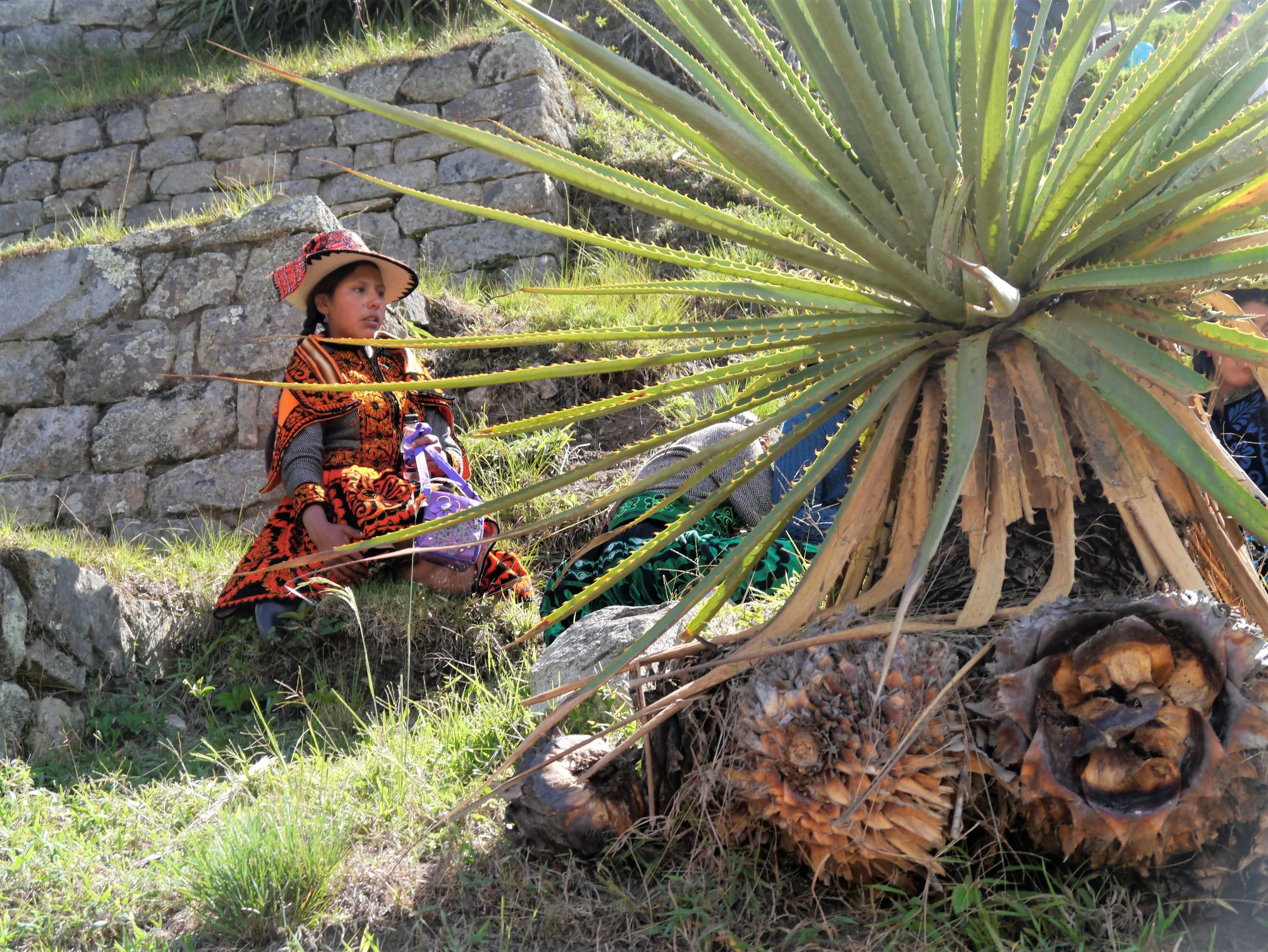 A SHAMANIC TOUR OR PERU - AYAHUASCA AND SAN PEDRO RETREAT — SHAMANIC SPACE