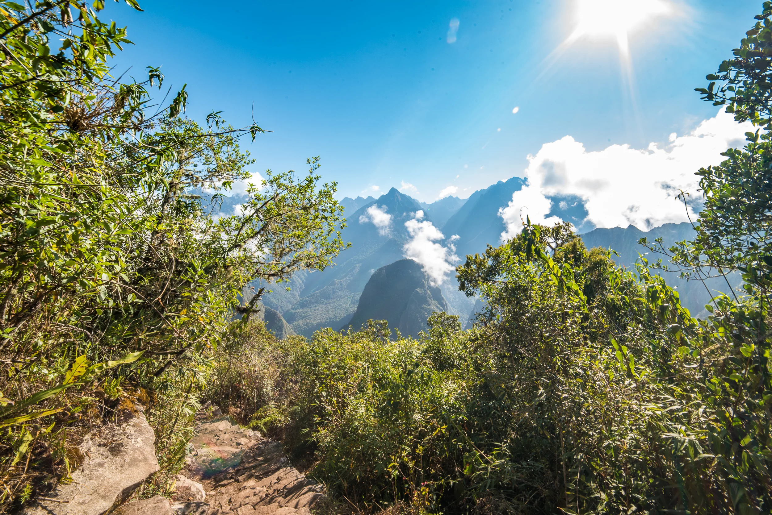 A SHAMANIC TOUR OR PERU - AYAHUASCA AND SAN PEDRO RETREAT — SHAMANIC SPACE