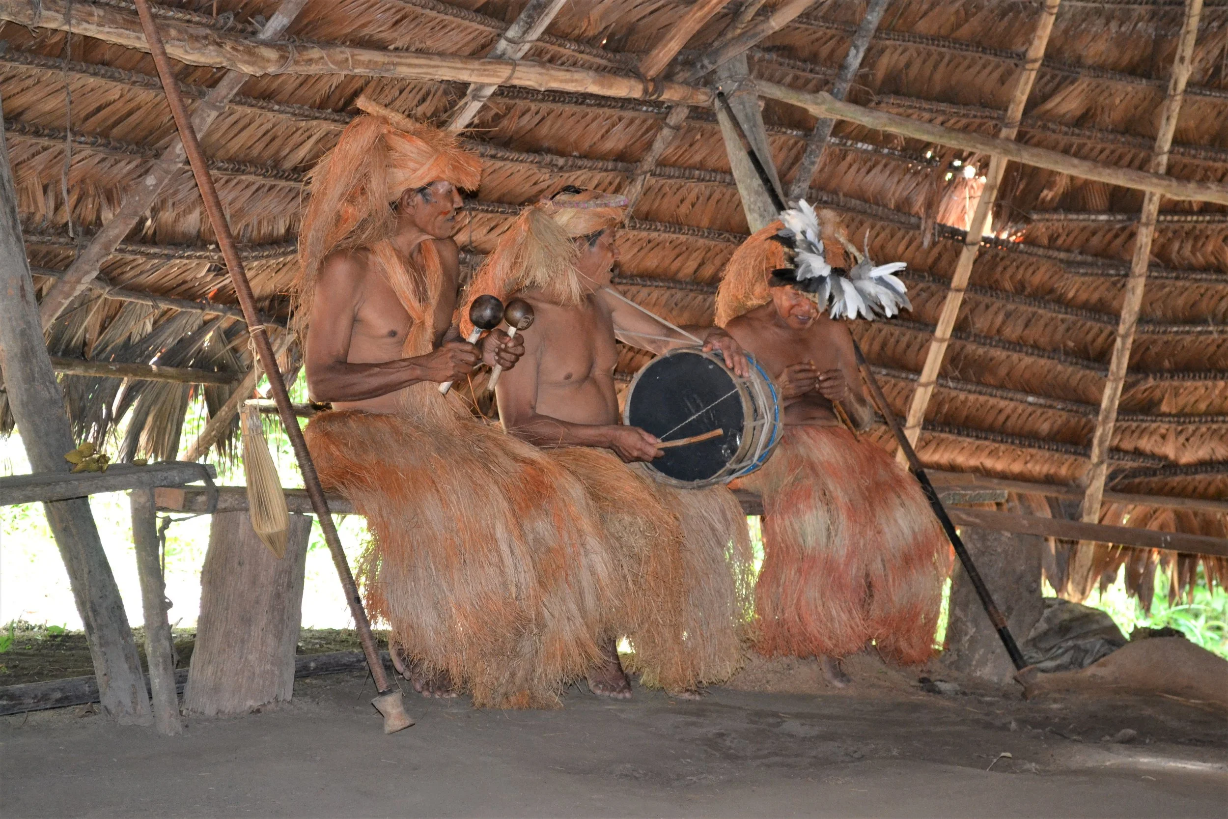 A SHAMANIC TOUR OR PERU - AYAHUASCA AND SAN PEDRO RETREAT — SHAMANIC SPACE