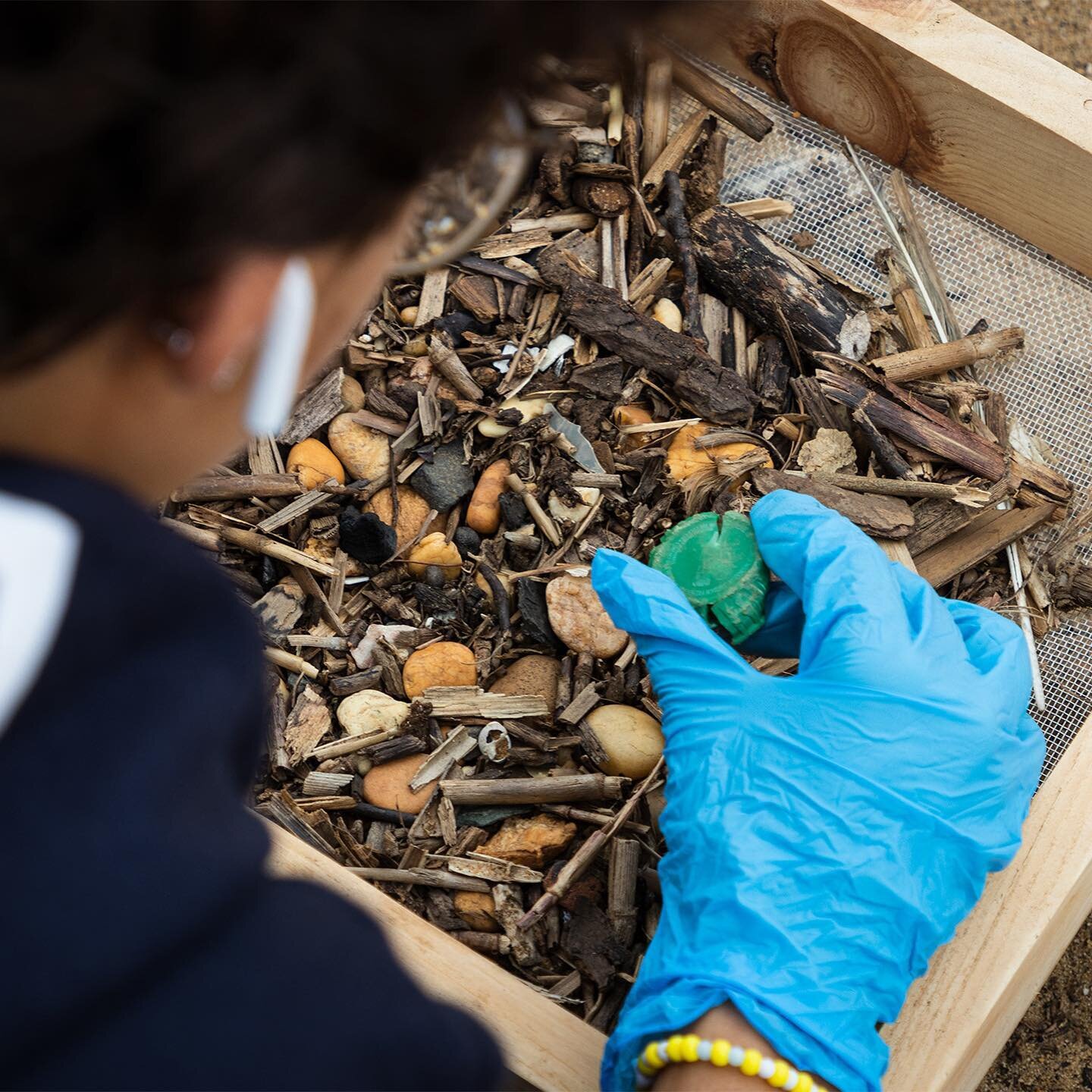 The Plastic Wave Project