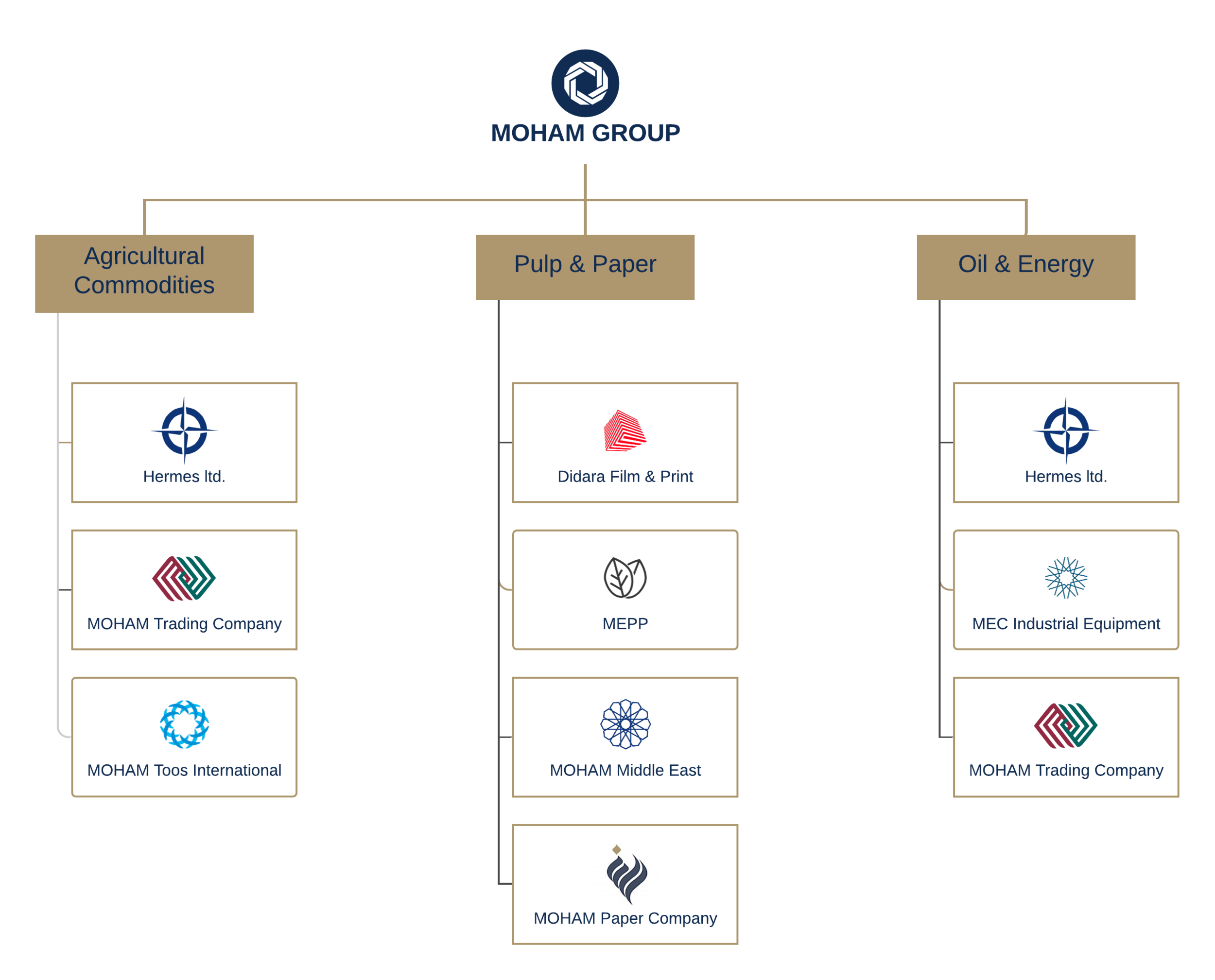 Group Structure — MOHAM GROUP