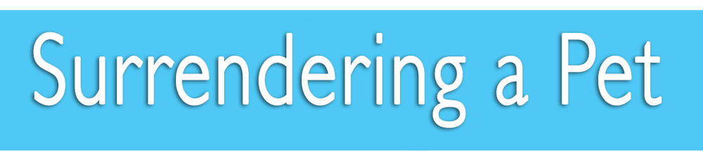 Surrendering a Pet — Mitchell County Animal Rescue