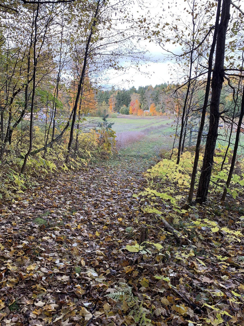 5K/10K Wilderness Run — Peace Ranch | Equine Assisted Therapy ...