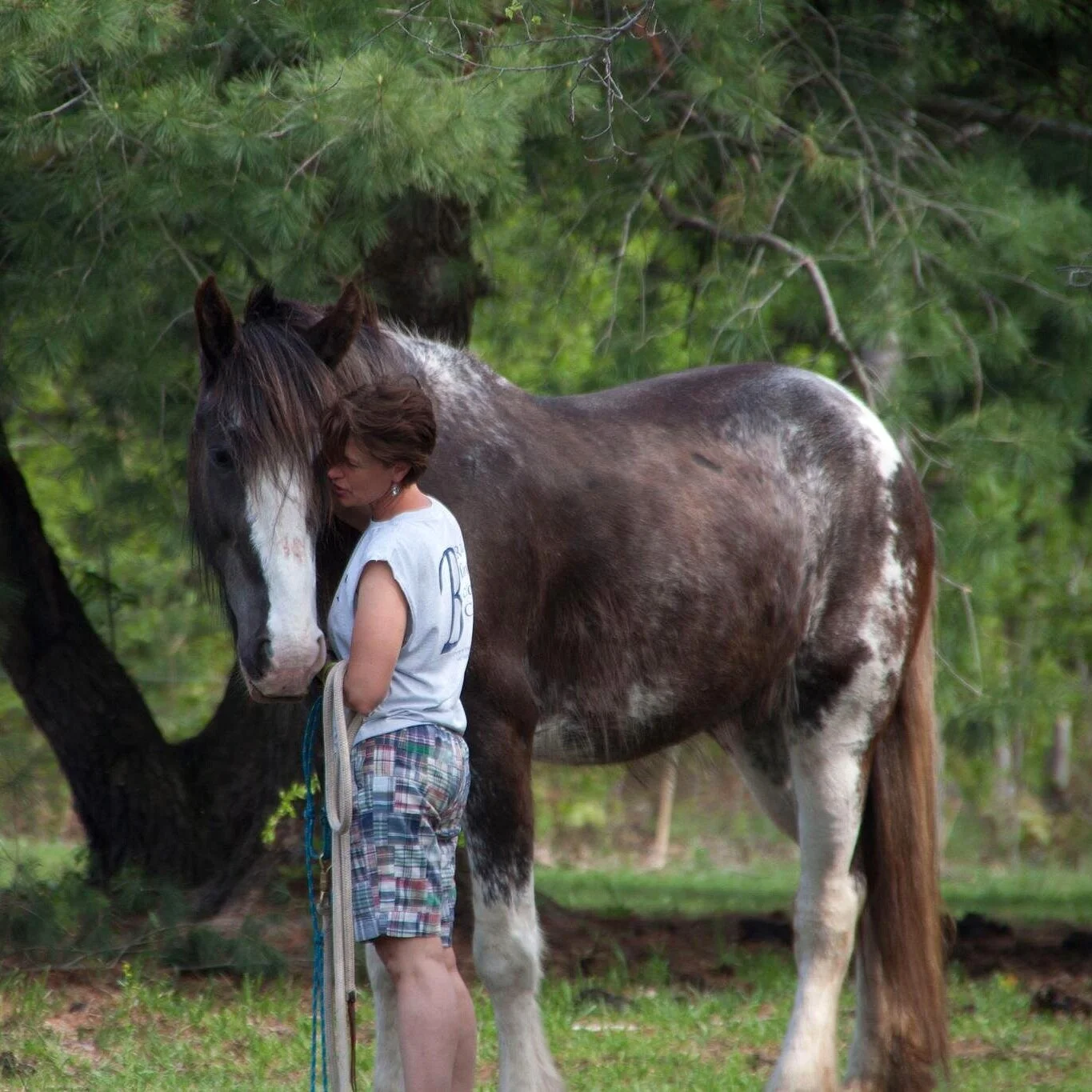 Peace Ranch | Equine Assisted Therapy | Traverse City, MI