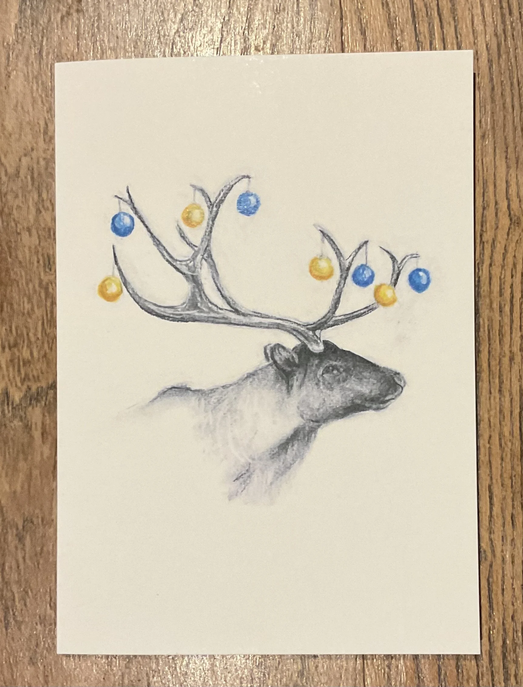 Merchandise — The Ted Senior Foundation