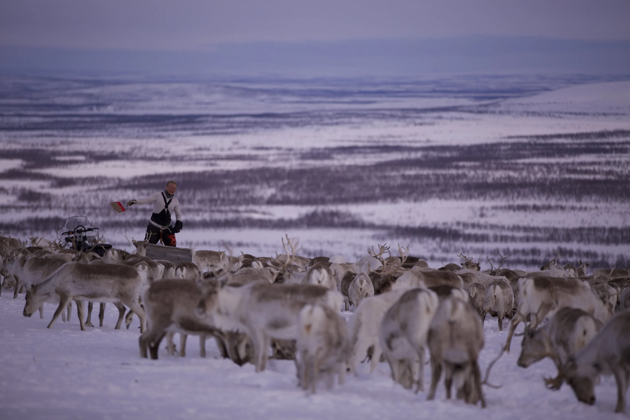 Power Of Yoik — TrixPixMedia