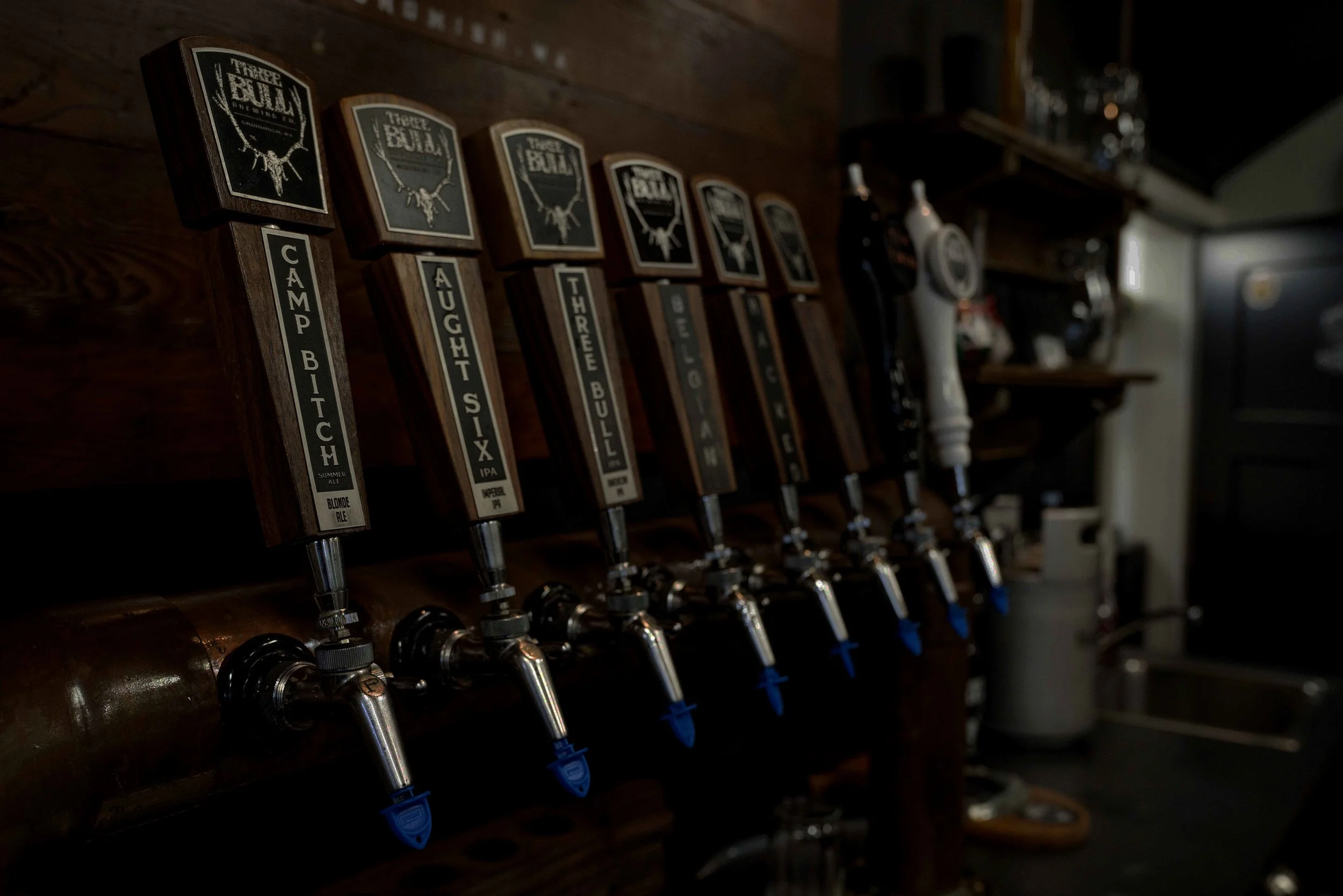 Three Bull Brewing