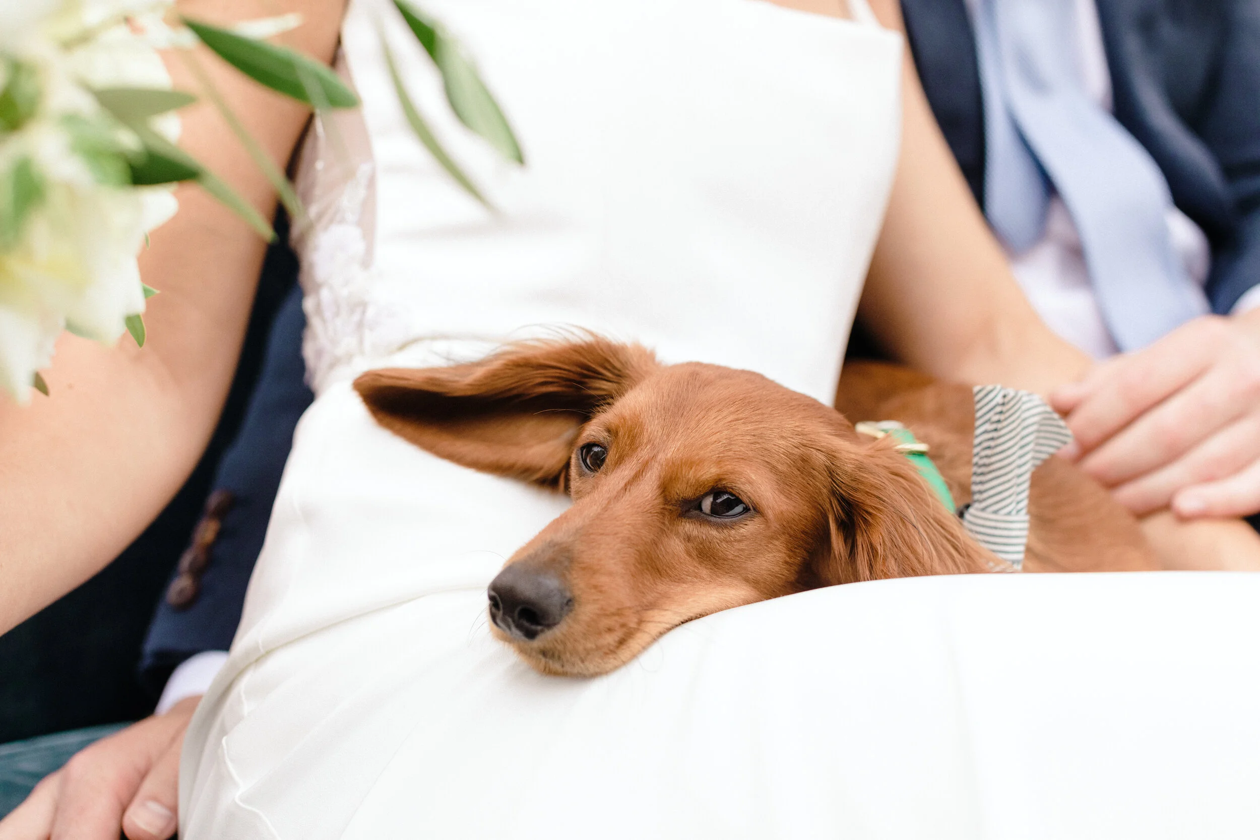 JESSICA MAHER PHOTOGRAPHY