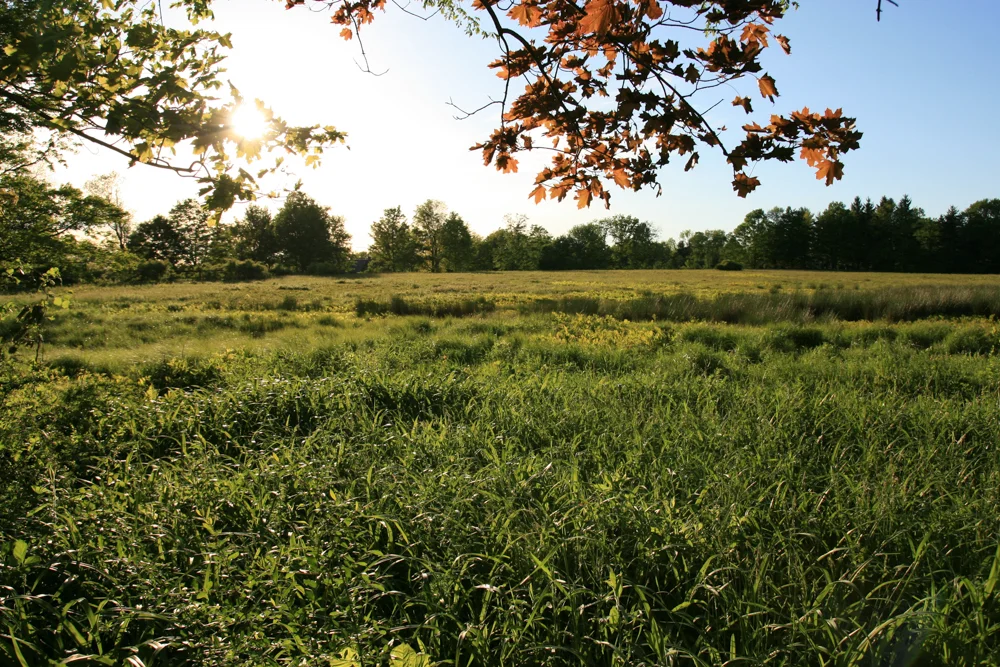 Land — Redding Land Trust