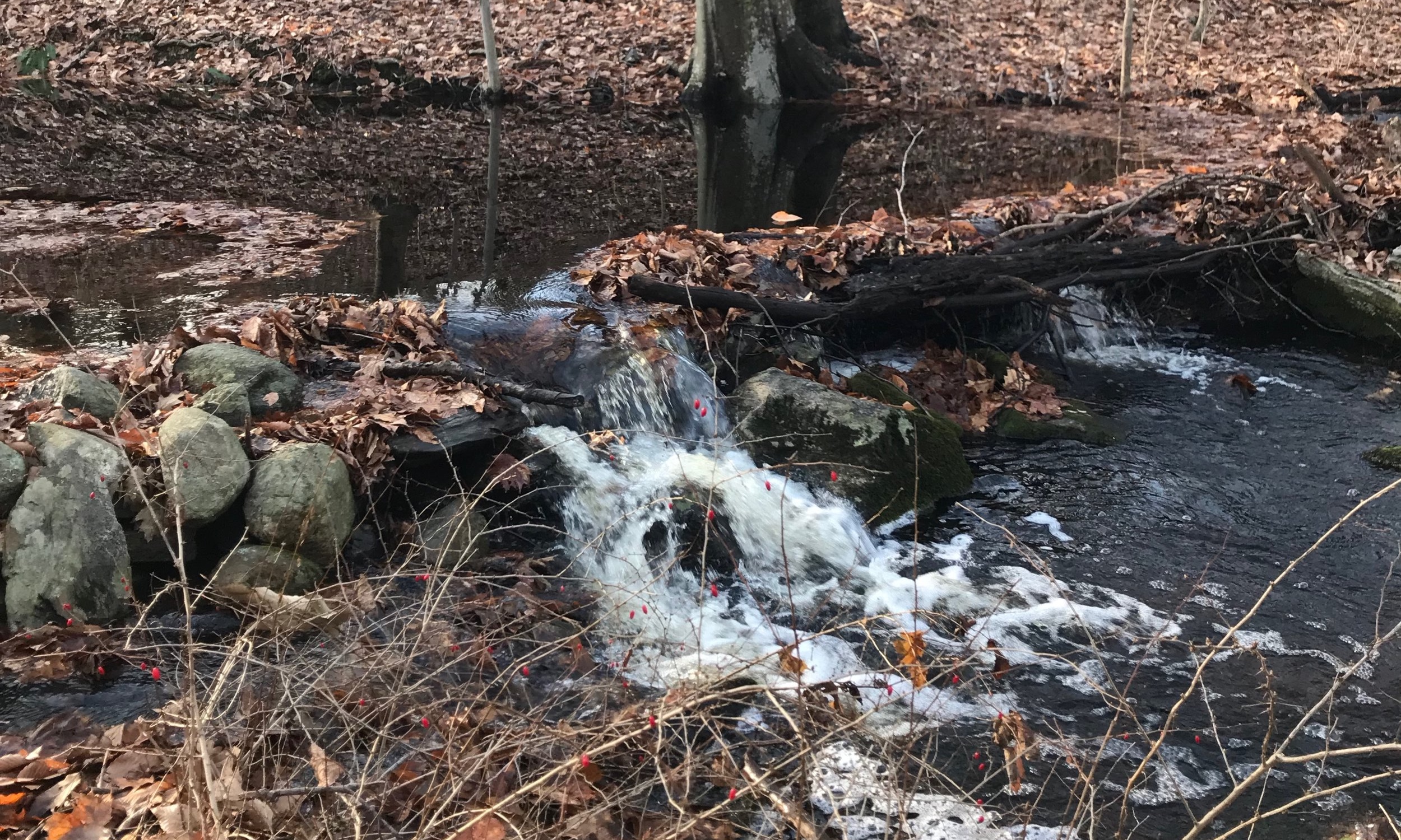 Land — Redding Land Trust