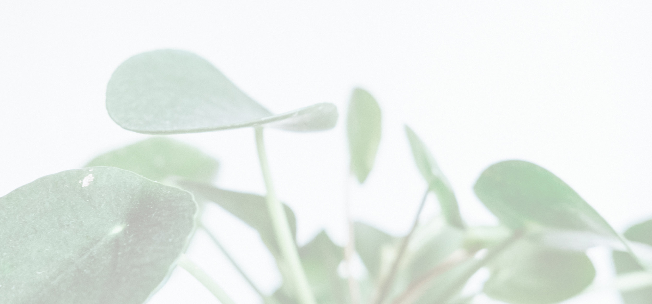 Mandy Barbee Lanier | Fulfillment & Actualization