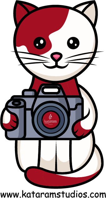 Info + Contact — Kataram Studios