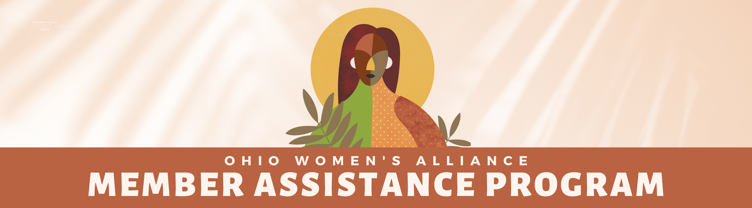 Ohio Women's Alliance