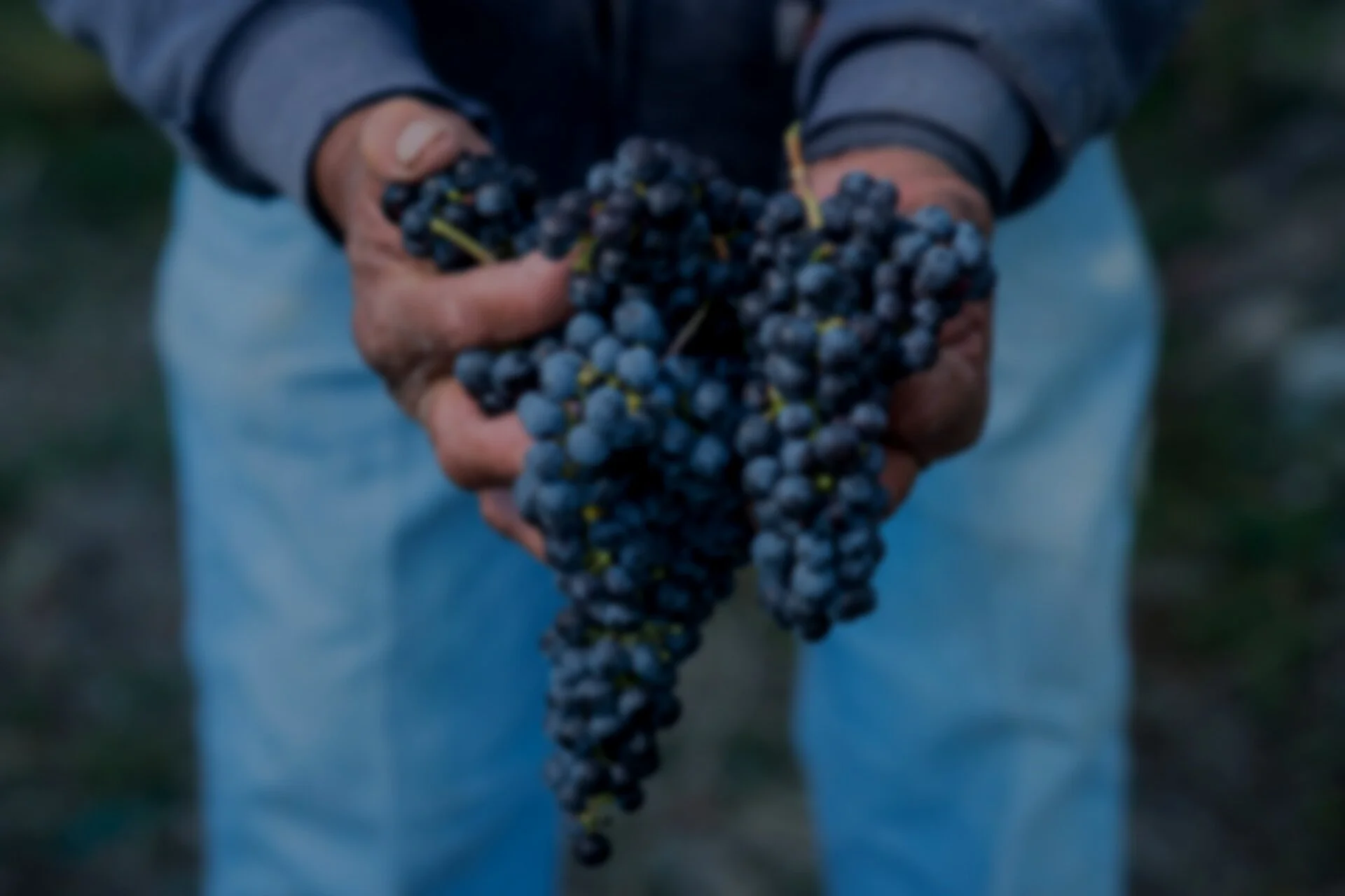 Sabrina Wine And Spirits