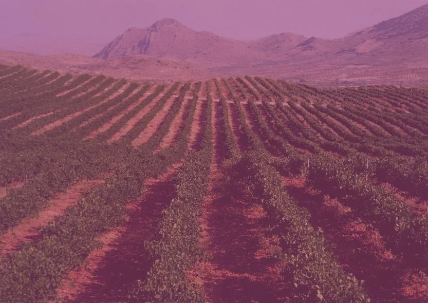 Sabrina Wine And Spirits