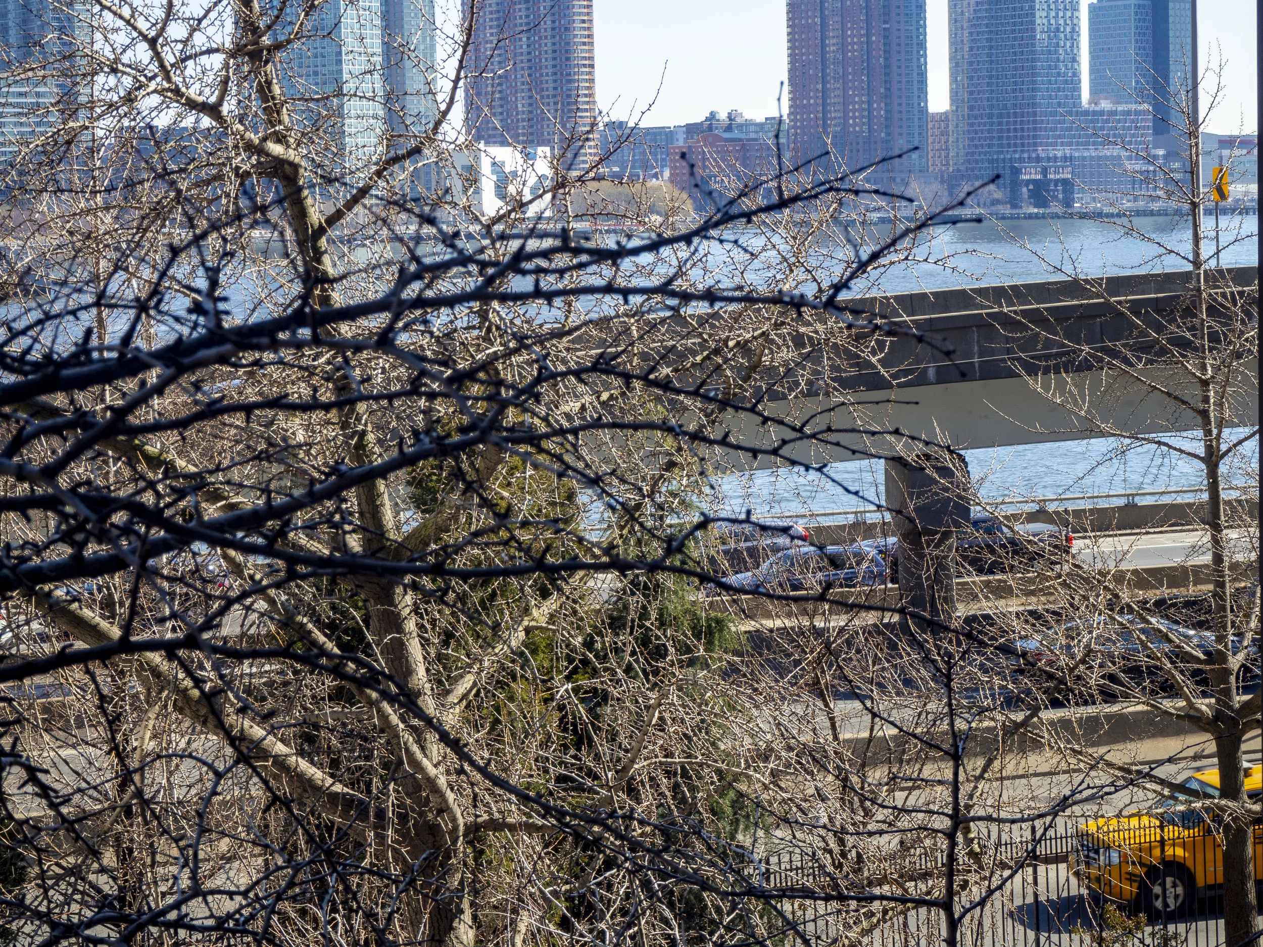 Photographs — Jason Forrest