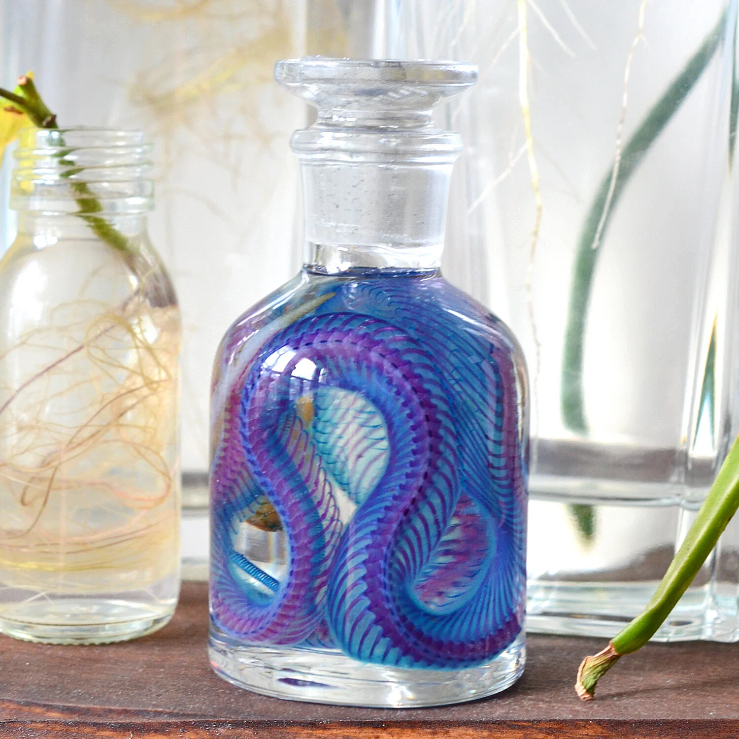 Nighttime Nicholas | Toronto Diaphonization & Cleared and Stained Specimens