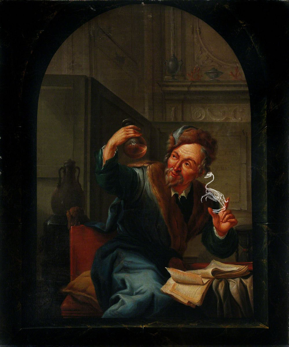 Nighttime Nicholas | Toronto Diaphonization & Cleared and Stained Specimens