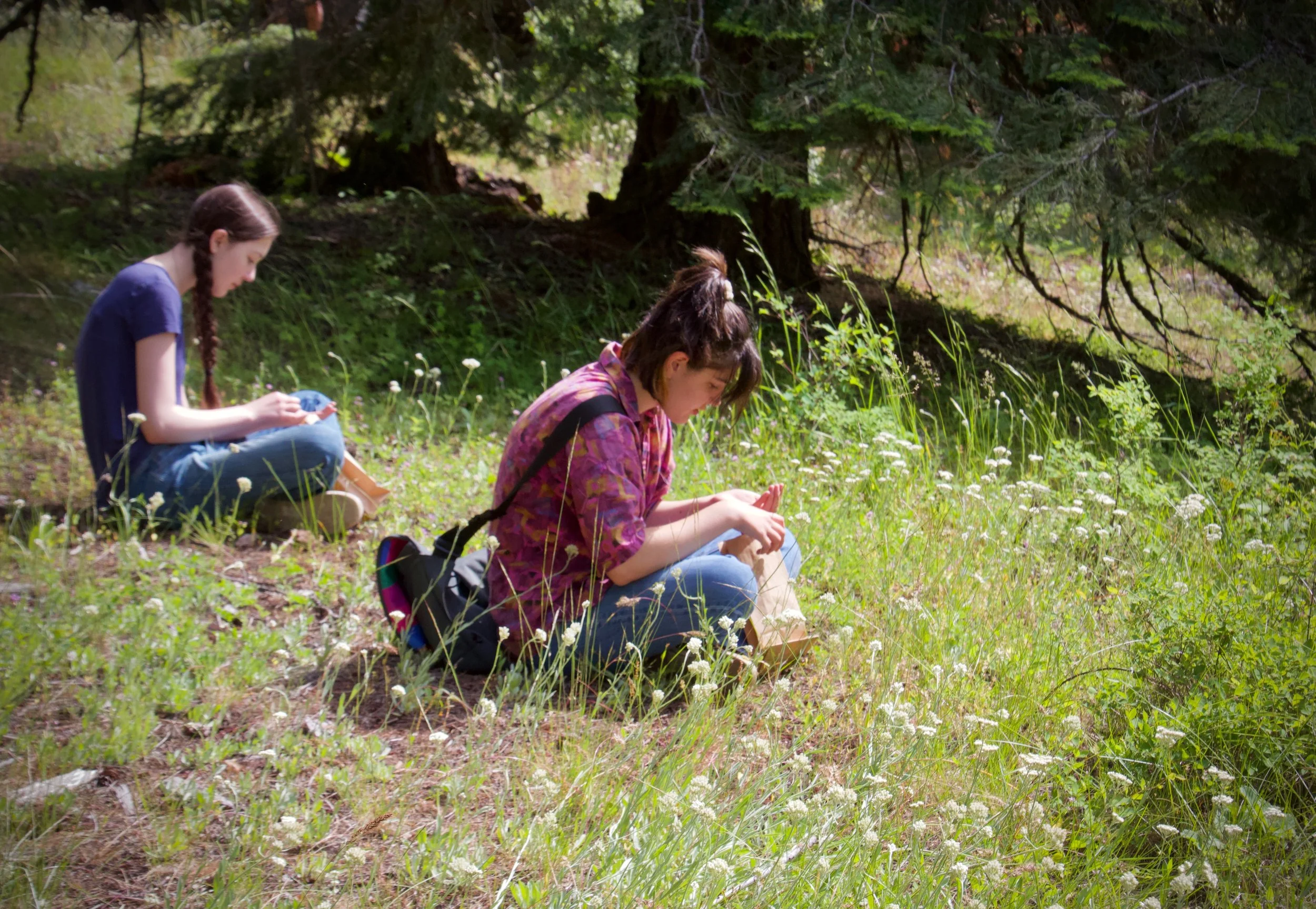 Volunteer — Vesper Meadow Education Program