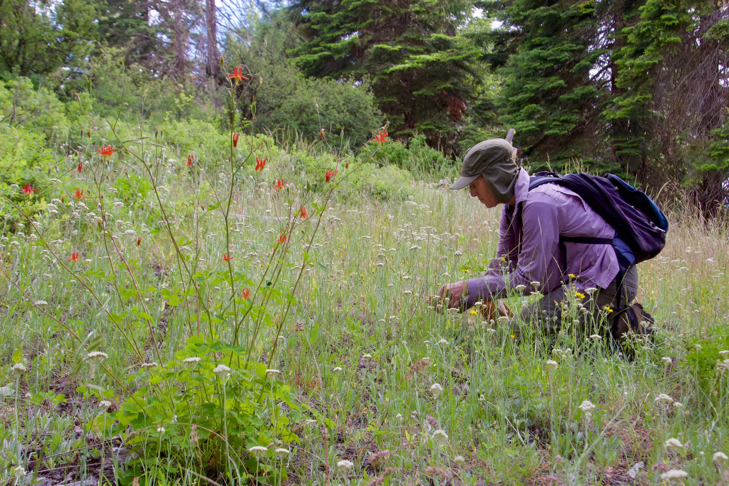 Volunteer — Vesper Meadow Education Program