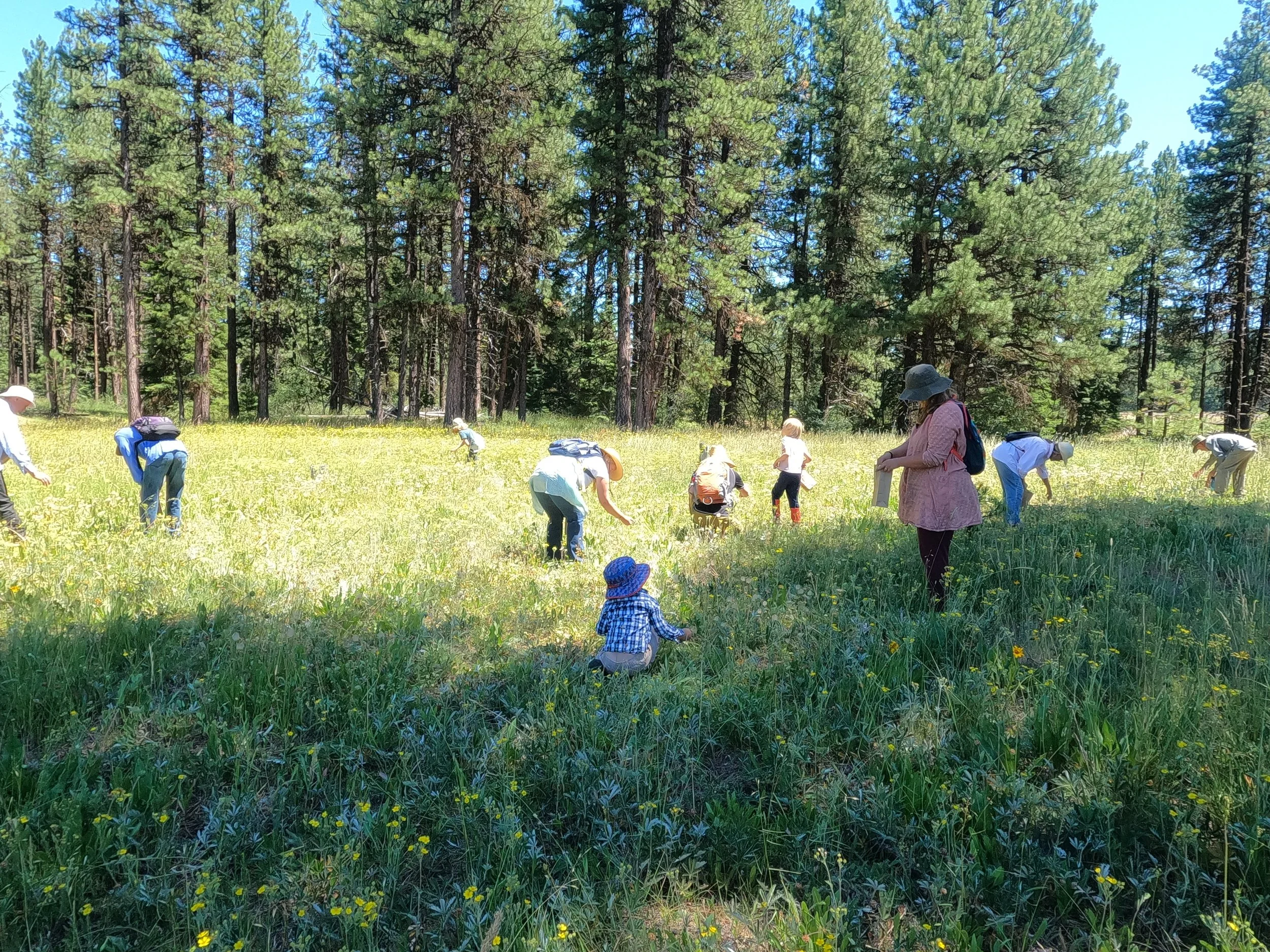 Volunteer — Vesper Meadow Education Program