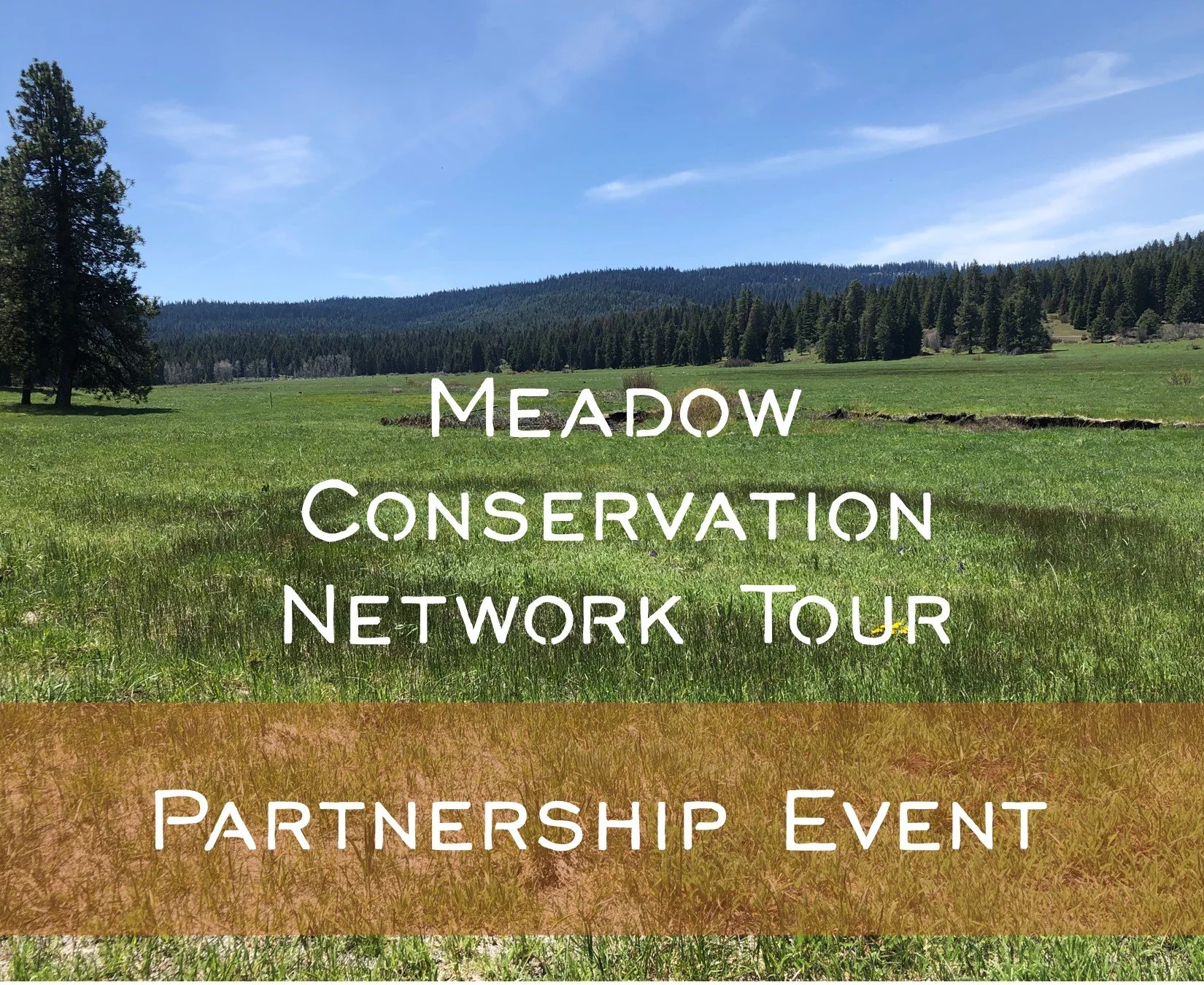 Vesper Meadow Education Program