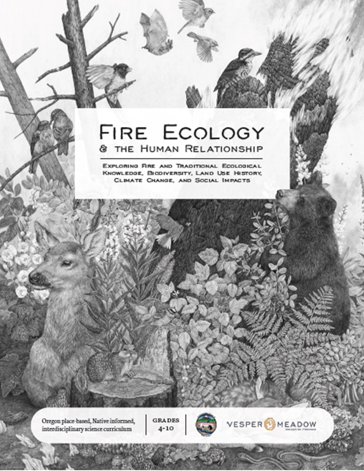Fire Curriculum — Vesper Meadow Education Program