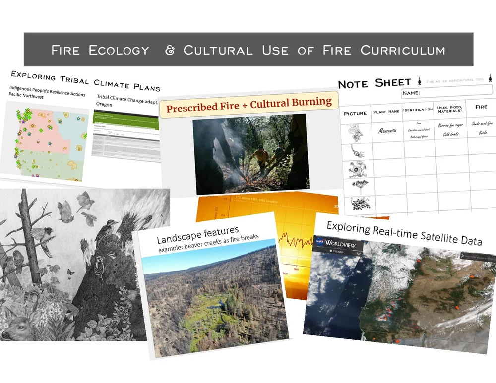 Fire Curriculum — Vesper Meadow Education Program