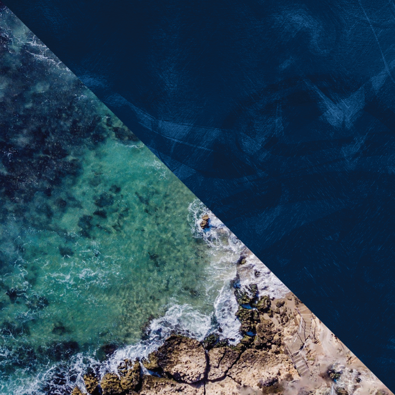 Brand Design | Shelby Arnett Design