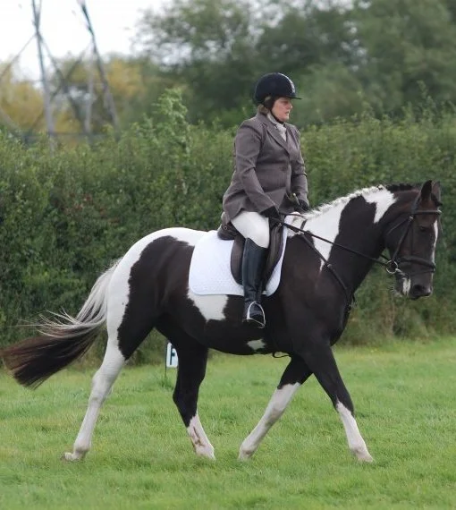 Meet the Committee — CDRC