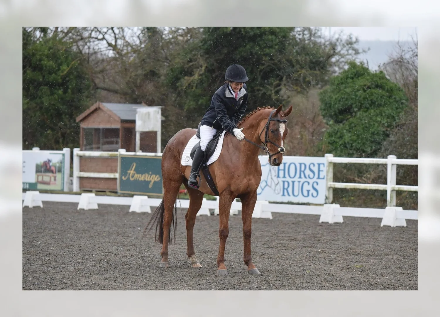 Meet the Committee — CDRC