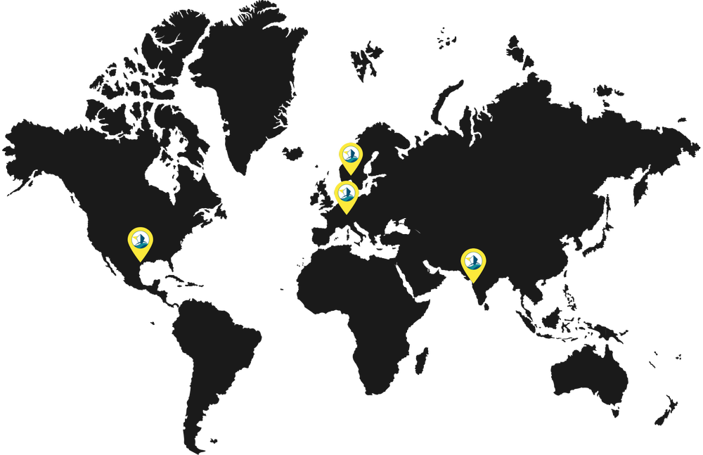 Our Team — Lighthouse Chartering