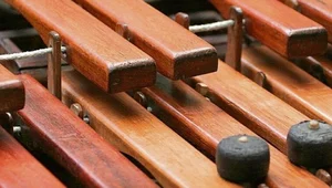 La Marimba: Guatemala’s National Instrument — Phalarope.org