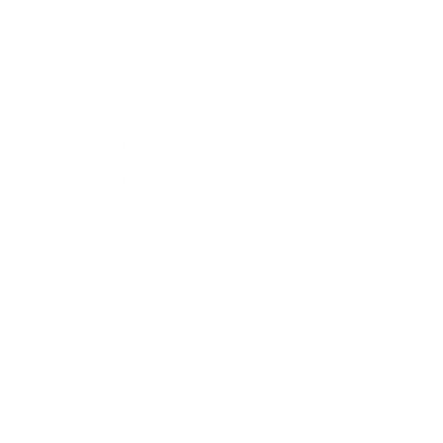 OceanCore.org / Pollution Solutions