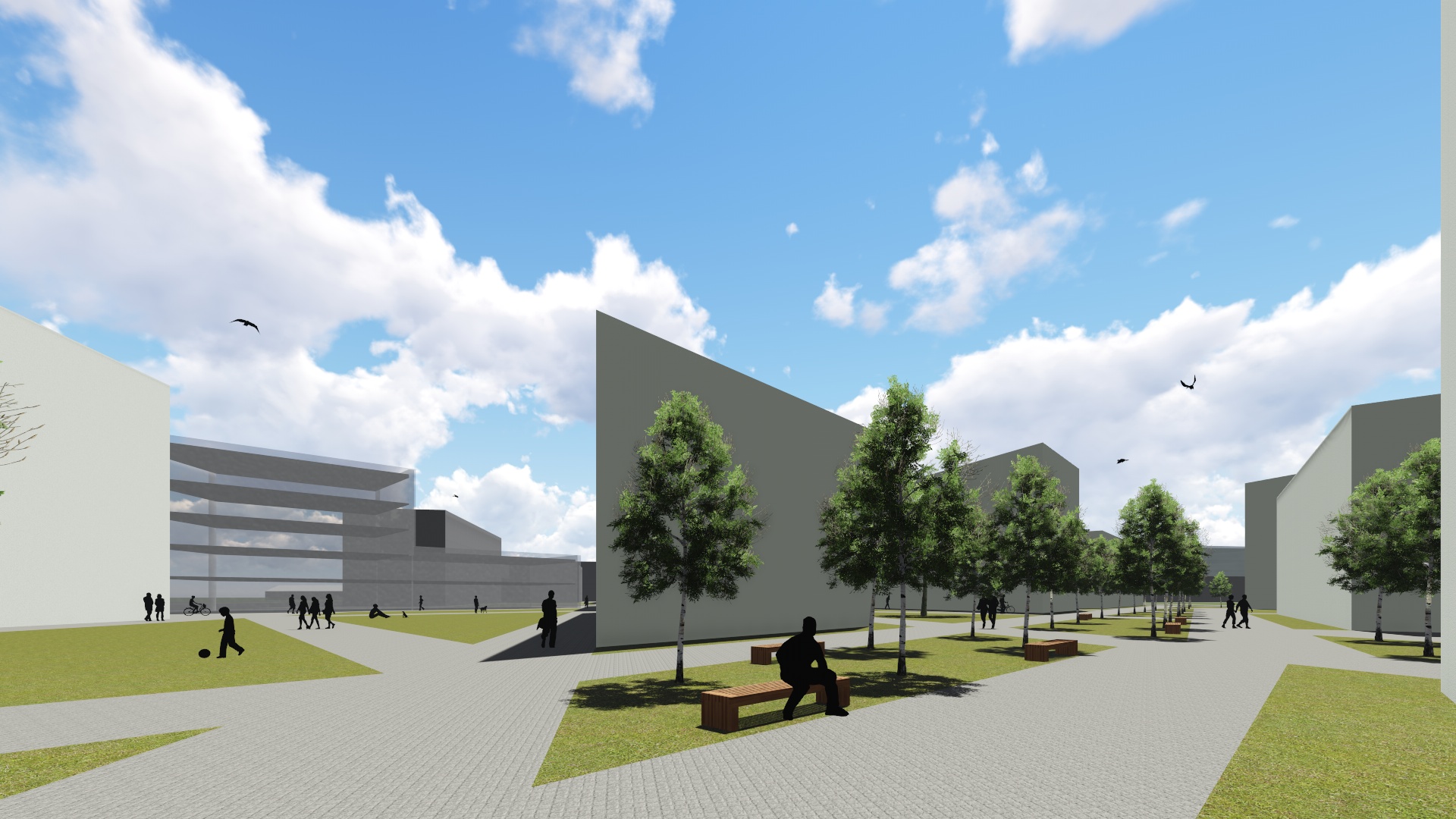 Student Housing Study — Moloney O'Beirne Architects