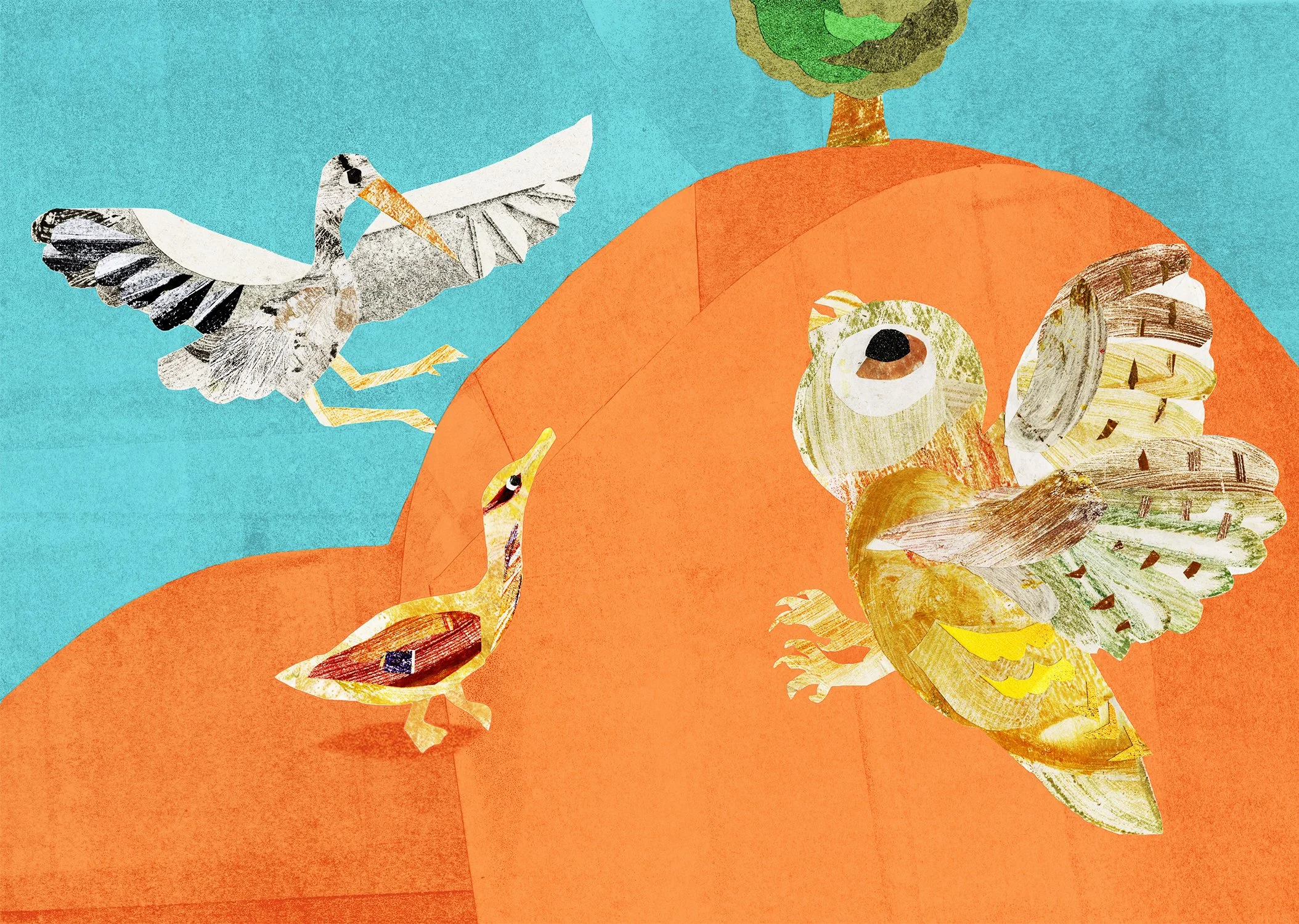 Anastasia Graham MA Children s Book Illustration 2024 anastasia-graham-ma-children-s-book-illustration-2024